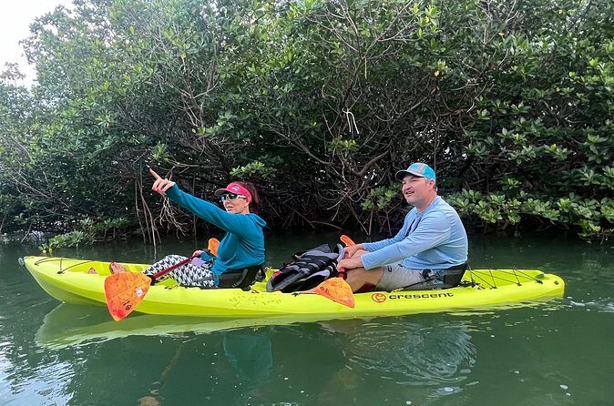 2 Hour Key West Kayak Rental Discover Mangroves & Wildlife! - Who Will Love This Experience?