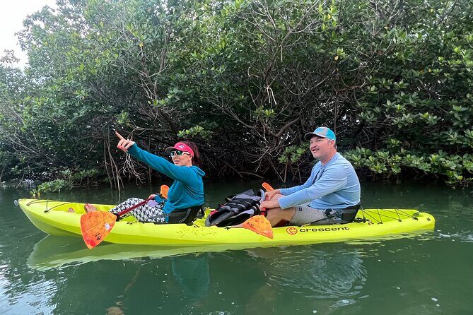 2 Hour Key West Kayak Rental Discover Mangroves & Wildlife! - The Sum Up