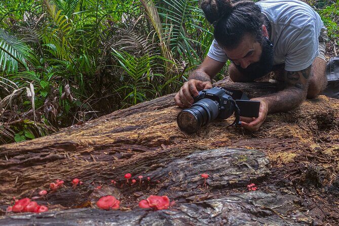 2-Hour Mushroom Photography Activity in Cairns Botanic Gardens - An In-Depth Look at the Mushroom Photography Tour
