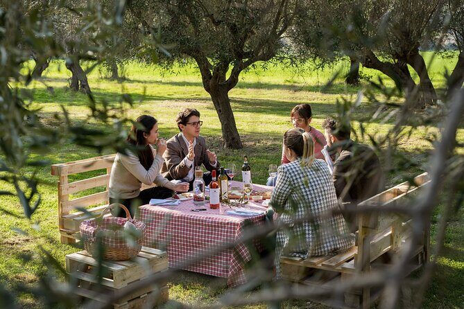 2-Hour Picnic among the Olive Trees with Typical Abruzzese Products - Key Points
