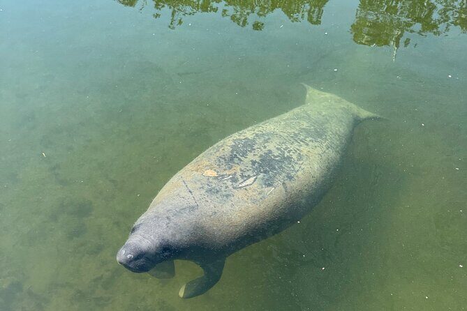 2 Hour Private Day Charter In Islamorada - FAQs