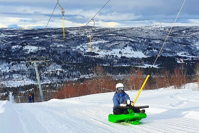 2-Hour Racing Toboggan at Dagali Fjellpark near Geilo in Norway - The Sum Up