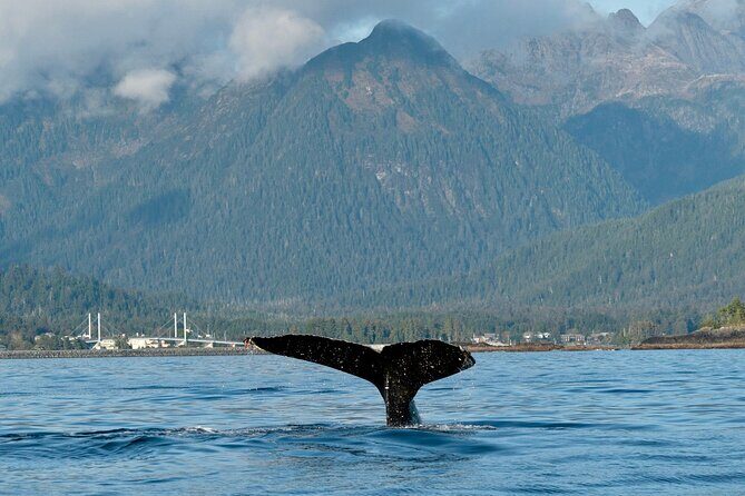 2 Hour Sitka Private Charter Sunset Cruise - Frequently Asked Questions