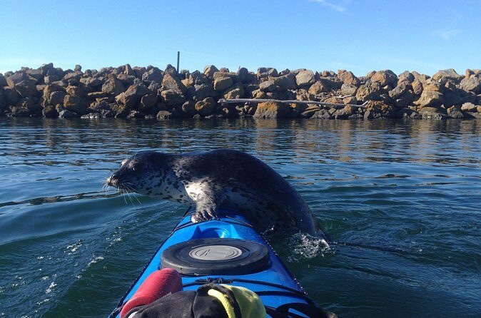 2 Hour Sound Tour - Frequently Asked Questions