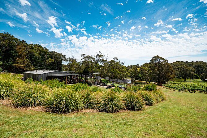 2-Hour Sparkling Brunch on the Mornington Peninsula - Who Is This Tour Best For?