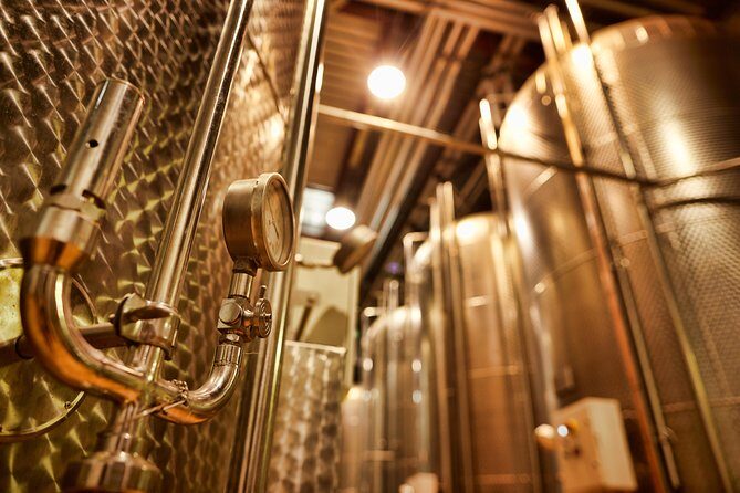 2 Hour Sparkling Wine Tasting and visit in Beaune - Key Points