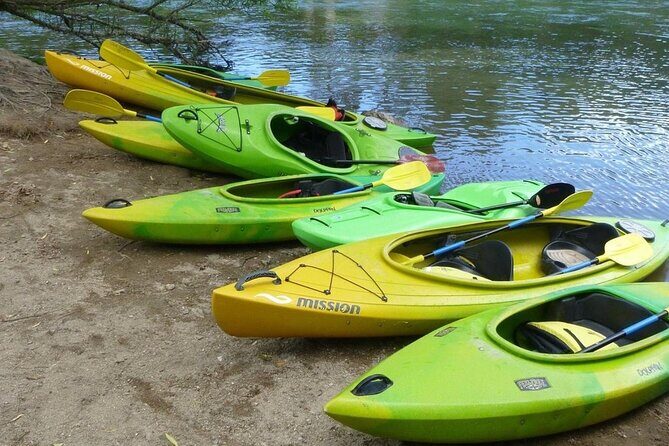 2-Hour Waikato River Guided Kayak Trip from Taupo - Final Thoughts