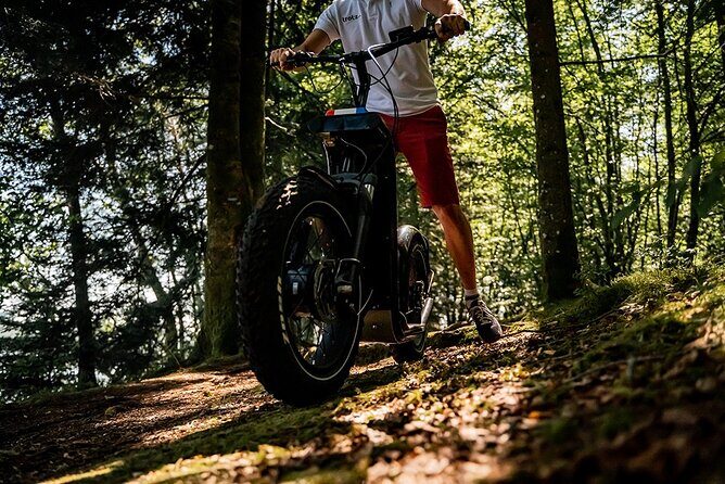 2-hour walk - Castles and vineyards - Detailed Breakdown of the Experience