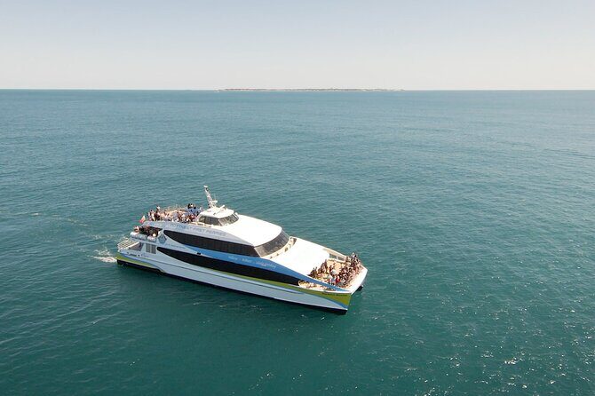 2 Hour Whale-Watching Cruise from Hillarys Boat Harbour - Introduction