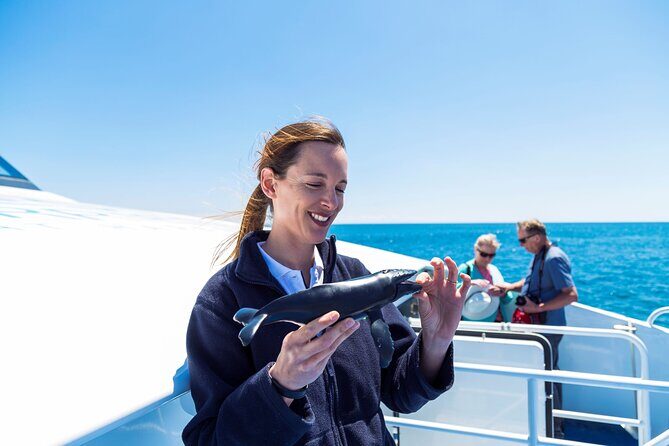 2 Hour Whale-Watching Cruise from Hillarys Boat Harbour - Key Points