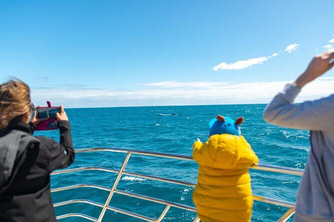 2 Hour Whale-Watching Cruise from Hillarys Boat Harbour - Who Should Consider This Tour?