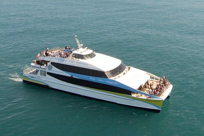 2 hour whale watching experience departing Hillarys Boat Harbour - The Sum Up