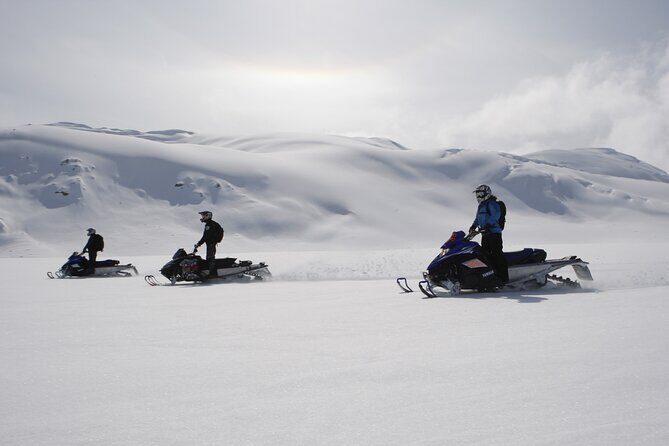 2 Hour Wilderness Adventure Snowmobile Tour in Whistler - Key Points