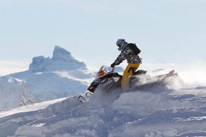 2 Hour Wilderness Adventure Snowmobile Tour in Whistler - Who Should Consider This Tour