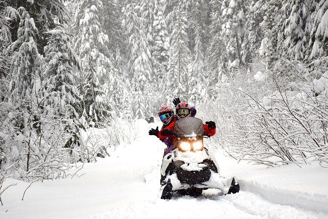 2 Hour Wilderness Adventure Snowmobile Tour in Whistler - The Sum Up
