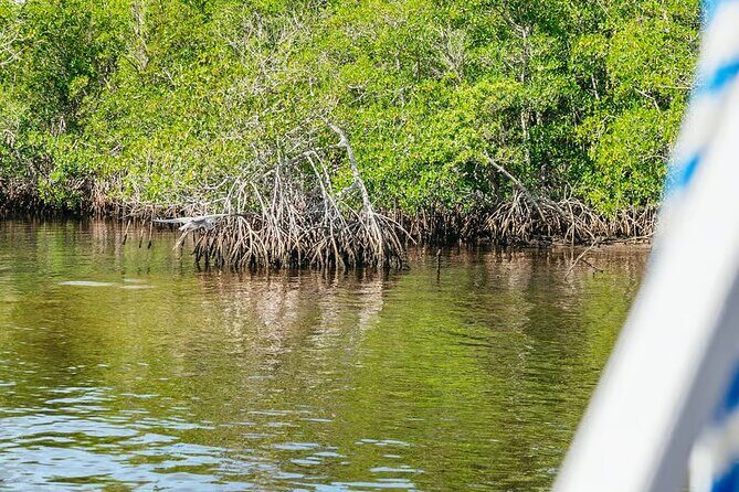 2 Hour Wildlife Adventure - Exploring the 2 Hour Wildlife Adventure in Depth