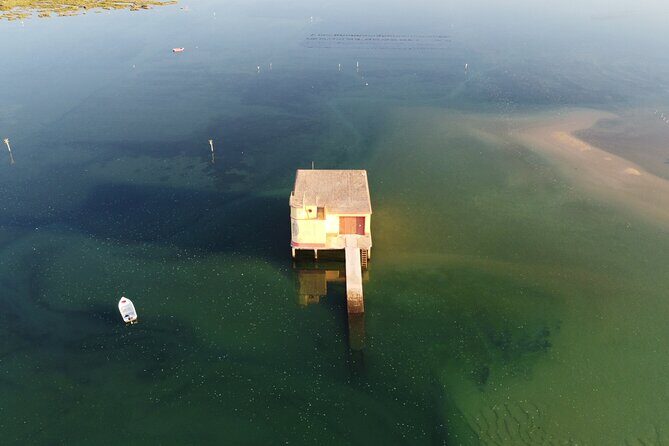 2 Hours Boat Tour in Ria Formosa - Why You Might Choose This Tour
