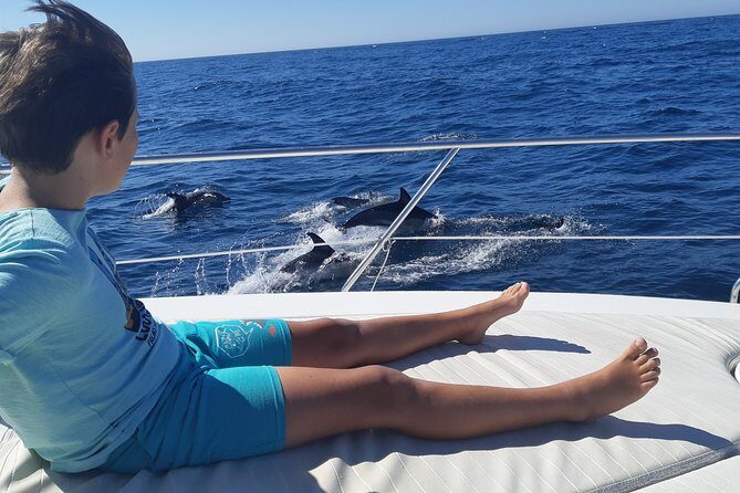 2 Hours Dolphin Watching in Marbella - Introduction