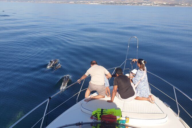 2 Hours Dolphin Watching in Marbella - The Value of the Experience