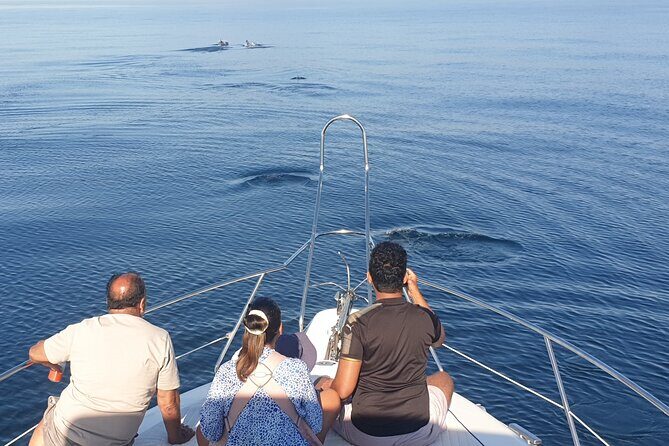 2 Hours Dolphin Watching in Marbella - FAQ