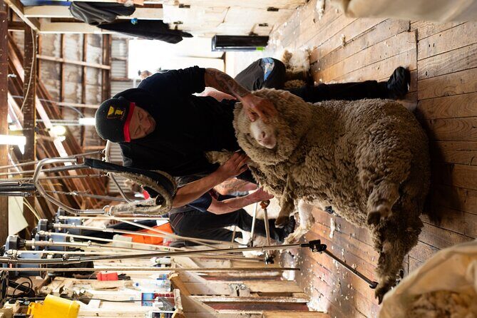 2 Hours Fishing in Lake Tekapo - The Sum Up