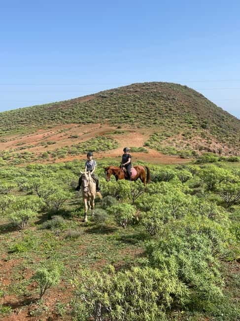 2 hours Green Mountains Horse Riding Tour - The Itinerary in Detail
