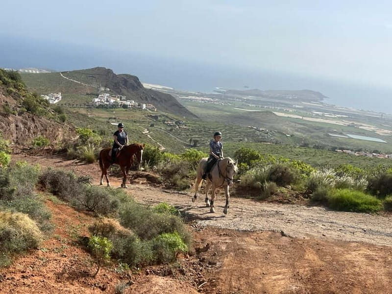 2 hours Green Mountains Horse Riding Tour - Who Will Love This Tour?