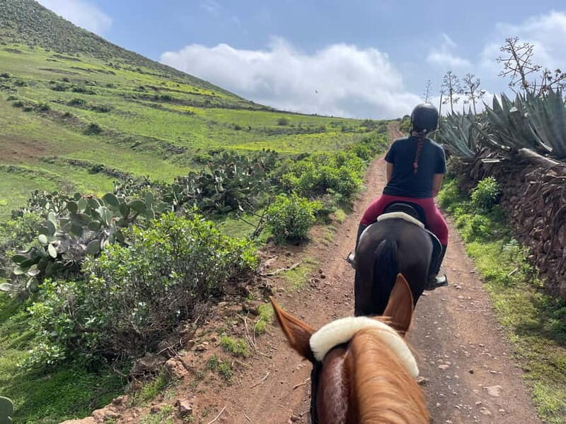 2 hours Green Mountains Horse Riding Tour - Final Thoughts