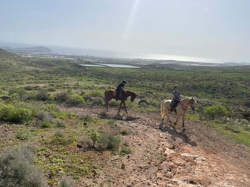 2 hours Green Mountains Horse Riding Tour - FAQ