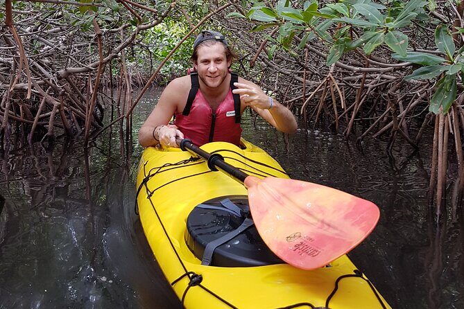 2 Hours of Kayak Safari in Bahía de La Paz - Exploring the Kayak Safari in Bahía de La Paz