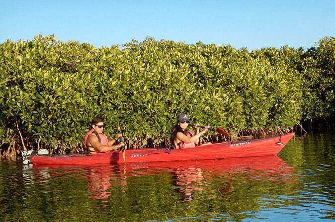 2 Hours of Kayak Safari in Bahía de La Paz - FAQ