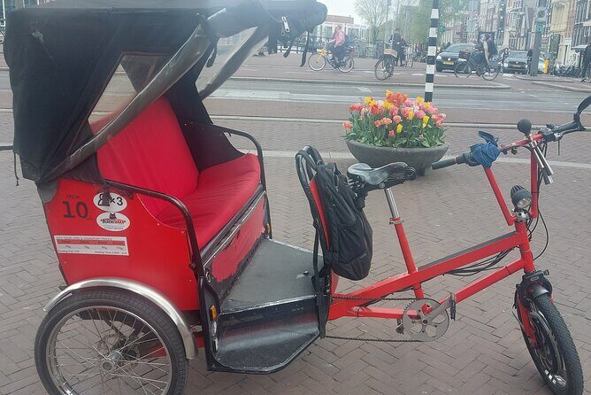 2 Hours Private Amsterdam Rickshaw Tour - An In-Depth Look at the Amsterdam Rickshaw Experience