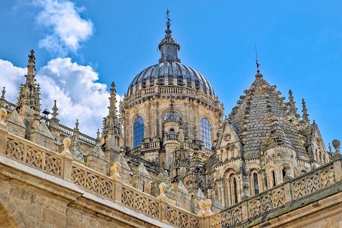 2 Hours Private Guided Walking Tour in Salamanca - Key Points