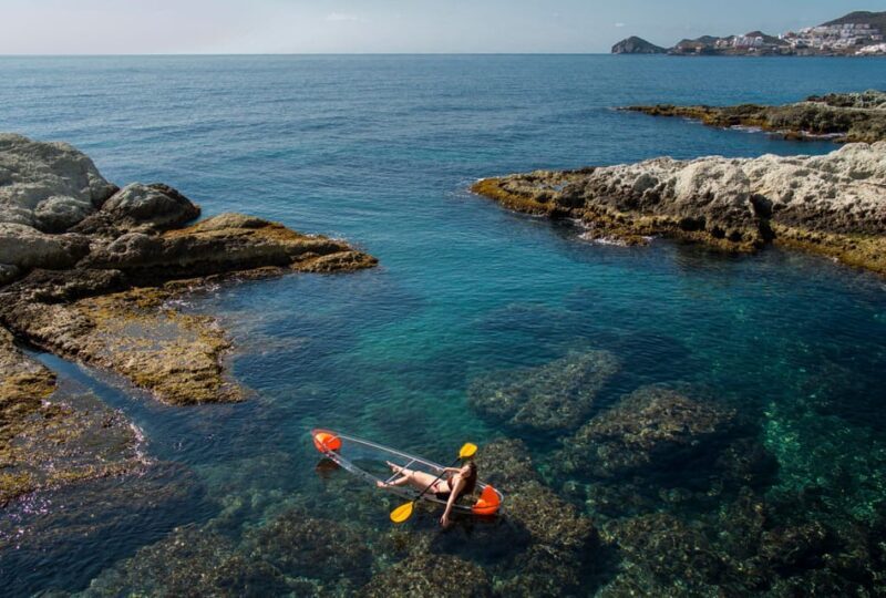 2 Hours Tour - Transparent Kayak Tour - Exploring the Experience in Detail