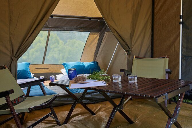 2 Night Rainforest Glamping Adventure near Byron Bay - Key Points