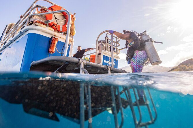 2-Tank Dive Featuring the Molokini Crater - Key Points