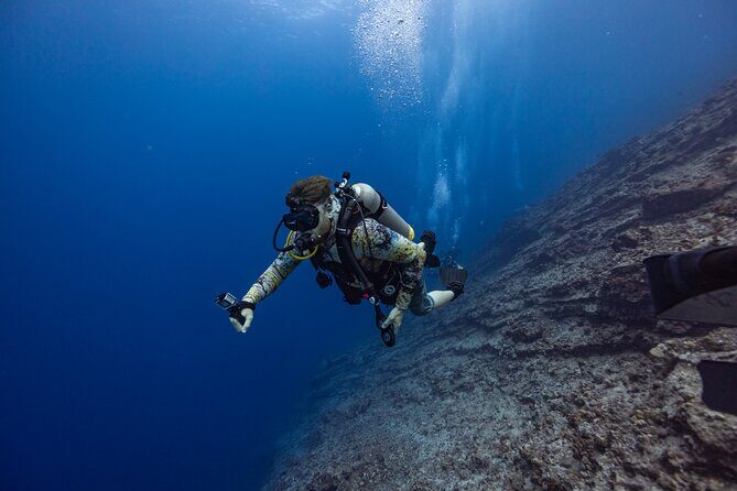 2-Tank Dive Featuring the Molokini Crater - The Value of the Experience