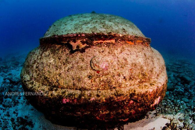 2 Tank Dives MUSA and Manchones reef (Certified divers) - Key Points