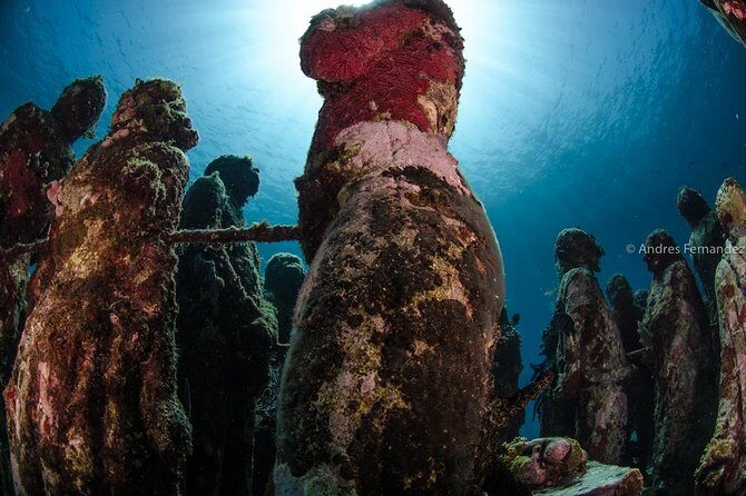 2 Tank Dives MUSA and Manchones reef (Certified divers) - Who Should Book This?