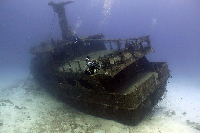 2-Tank Morning or Afternoon Dives in Playa del Carmen certified Divers Only - Price and Overall Value