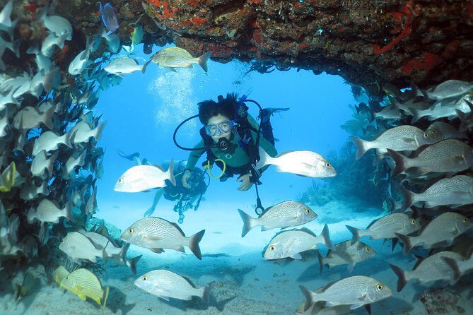 2-Tank Morning or Afternoon Dives in Playa del Carmen certified Divers Only - Who Should Book This Tour?