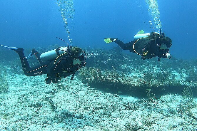 2 Tank Reef Dive in Mexico - FAQs