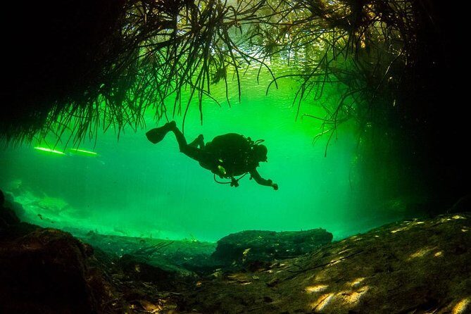 2 tanks Cenote Diving Adventure in Tulum for Certified Divers - The Dive Itinerary and What to Expect