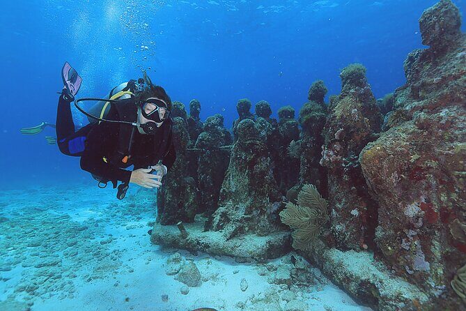2 Tanks Dives Cancun Underwater Museum for Certified Divers - Unpacking the Itinerary: What You Can Expect