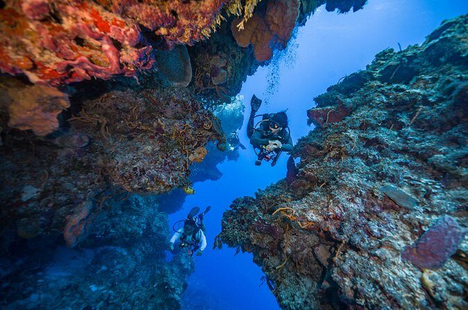 2 Tanks dives for Certified Divers in Cozumel - Who Will Love This Tour?