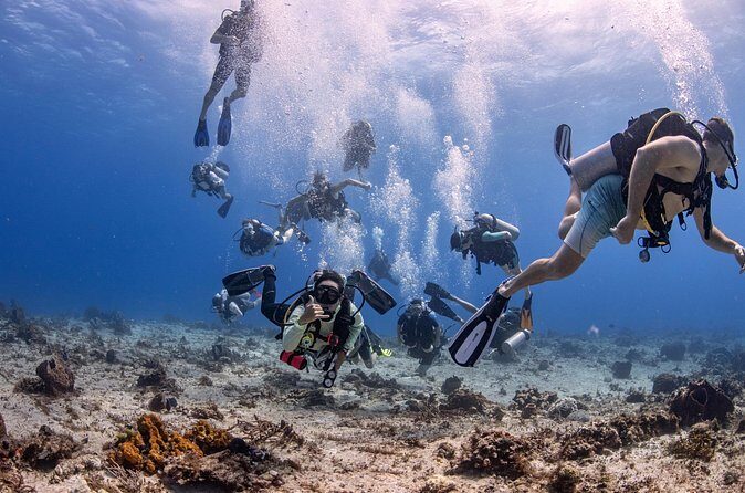 2 Tanks dives for Certified Divers in Cozumel - The Sum Up