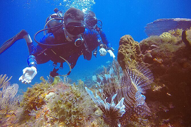 2 Tanks Scuba Diving in Punta Cancun Reefs for Certified Divers - What Makes This Tour Stand Out?