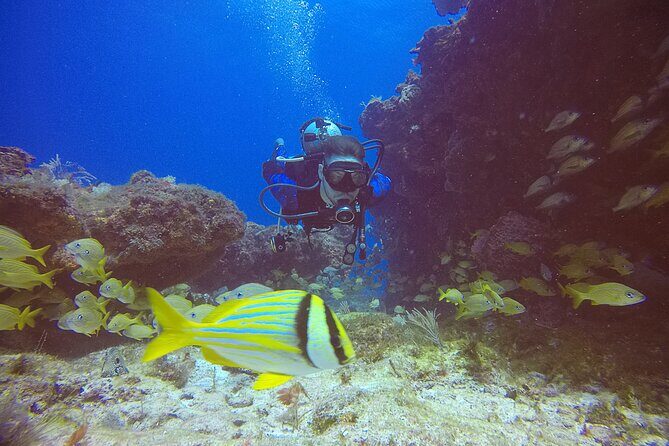 2 Tanks Scuba Diving in Punta Cancun Reefs for Certified Divers - Authentic Experiences & Real Traveler Insights