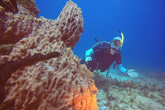 2 Tanks Scuba Diving in Punta Cancun Reefs for Certified Divers - The Sum Up