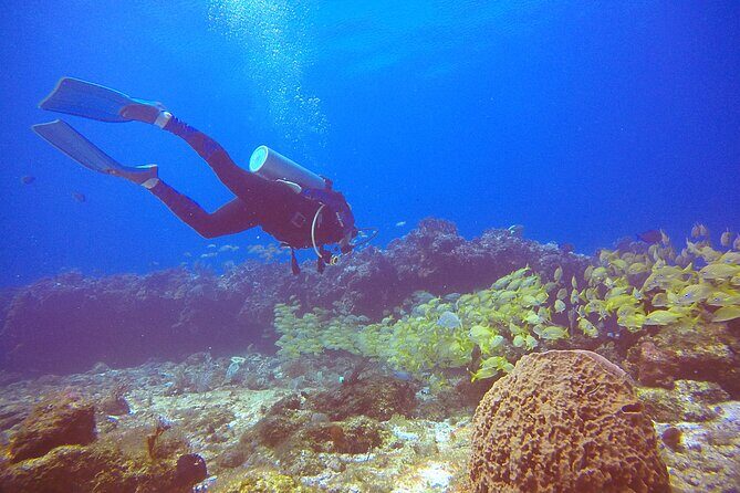 2 Tanks Scuba Diving in Punta Cancun Reefs for Certified Divers - FAQ